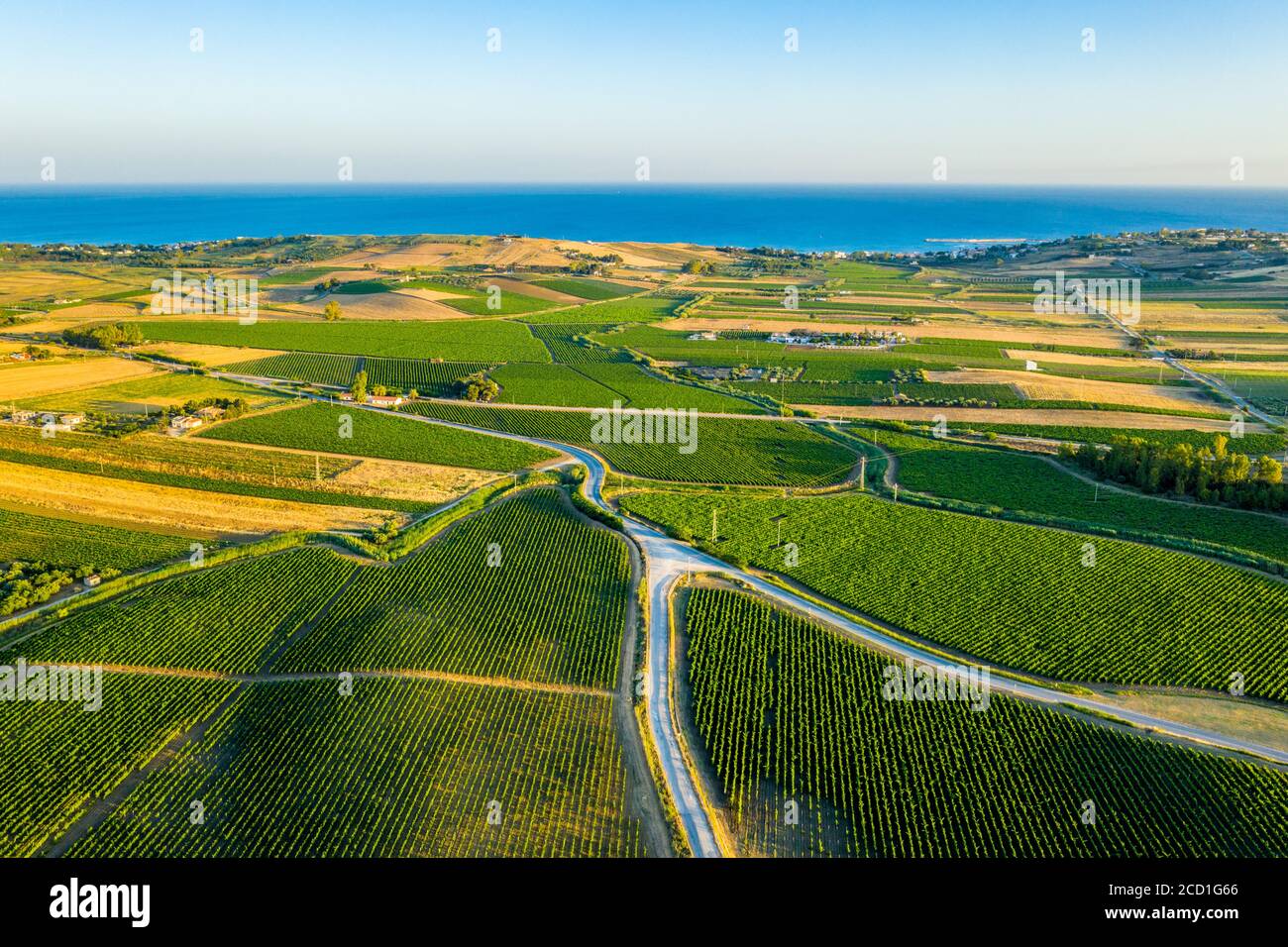 Menfi vineyard hi-res stock photography and images - Alamy