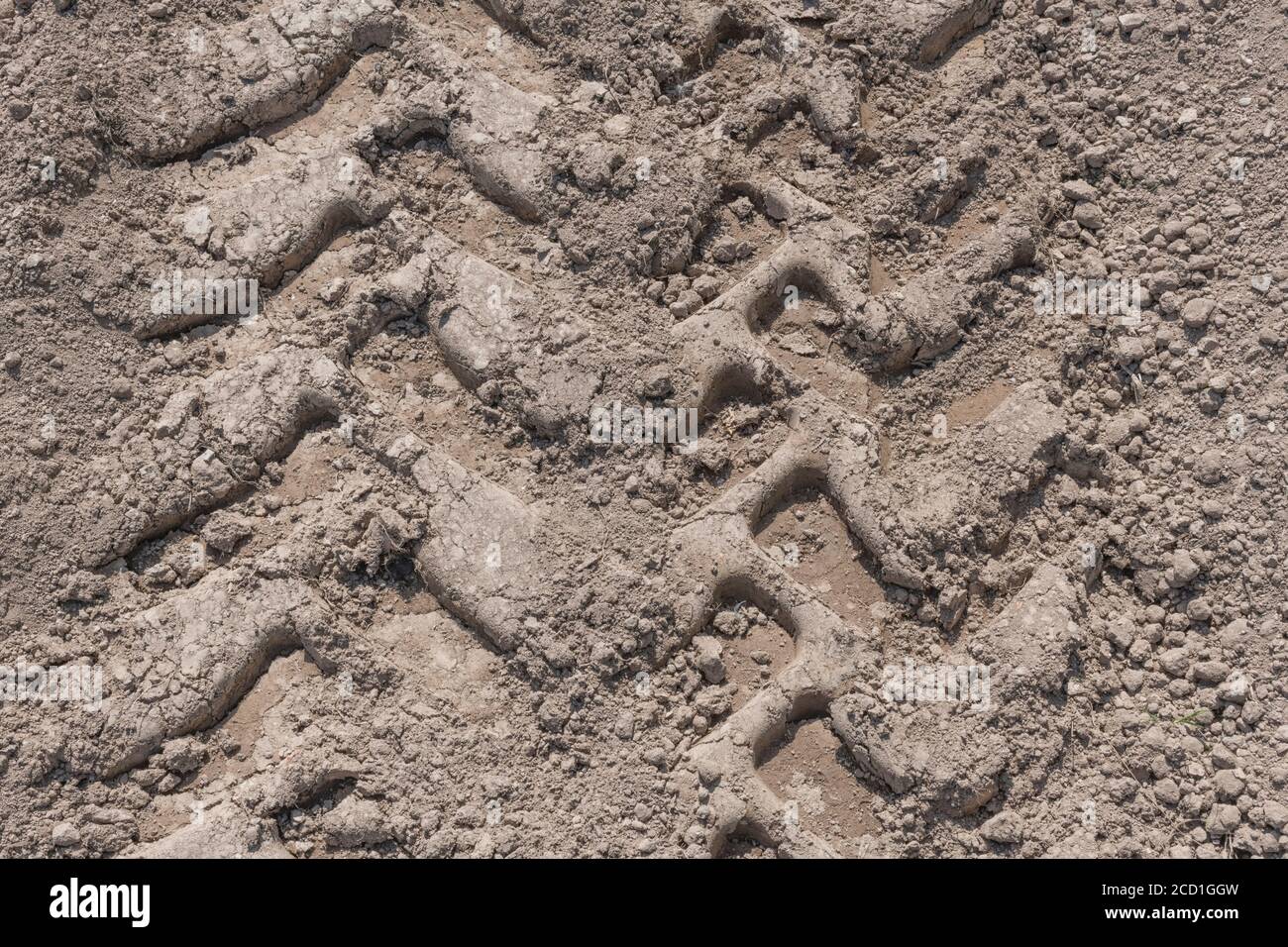 Heavy duty tractor tyre tracks in recently cropped field. For soil ...