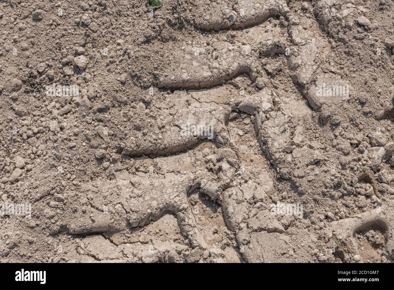 Heavy duty tractor tyre tracks in recently cropped field. For soil ...