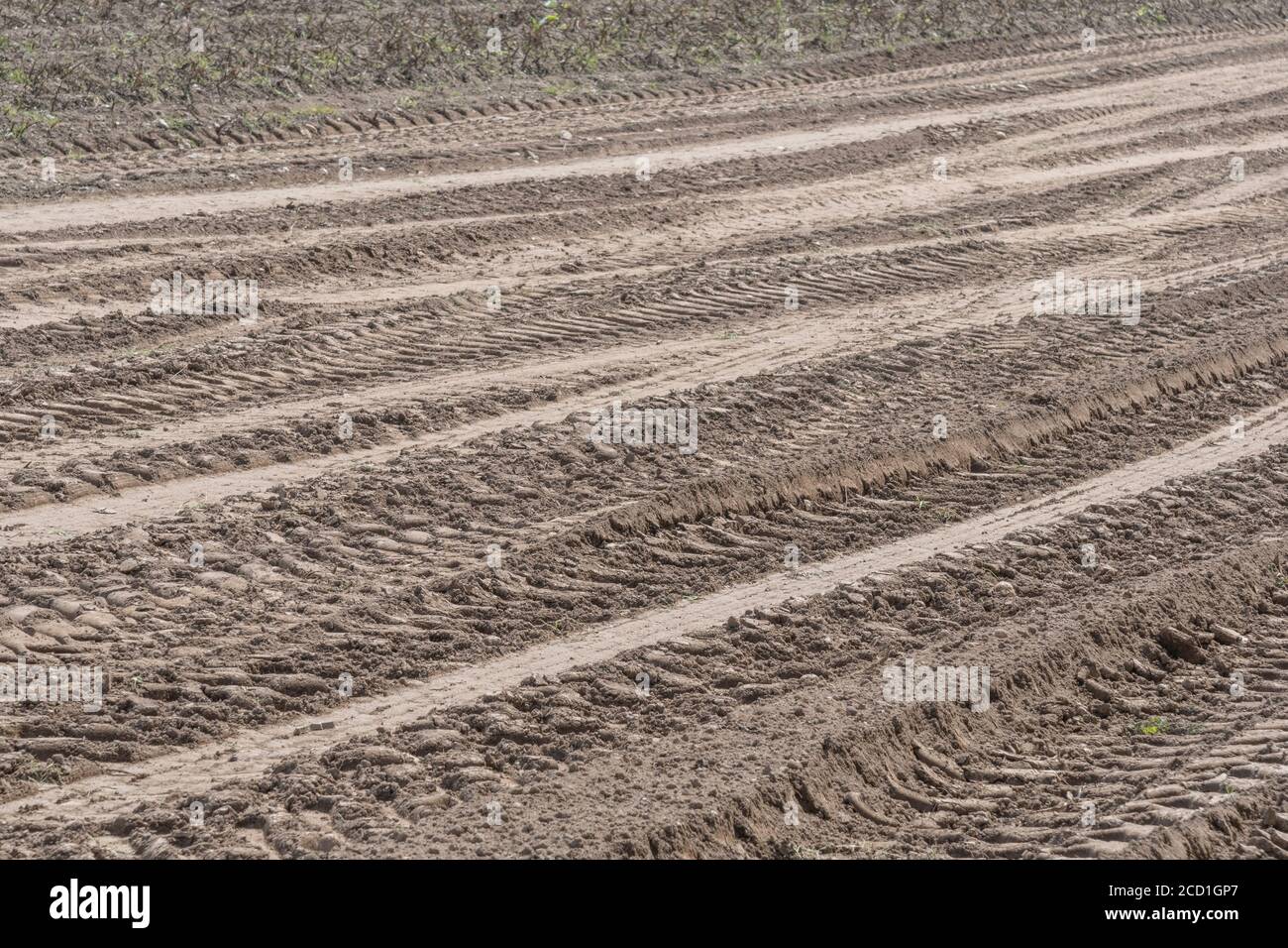 Heavy duty tractor tyre tracks in recently cropped field. For soil ...