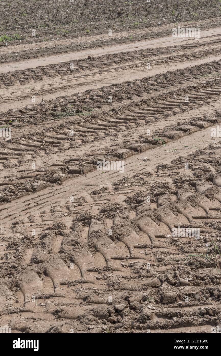 Heavy duty tractor tyre tracks in recently cropped field. For soil ...