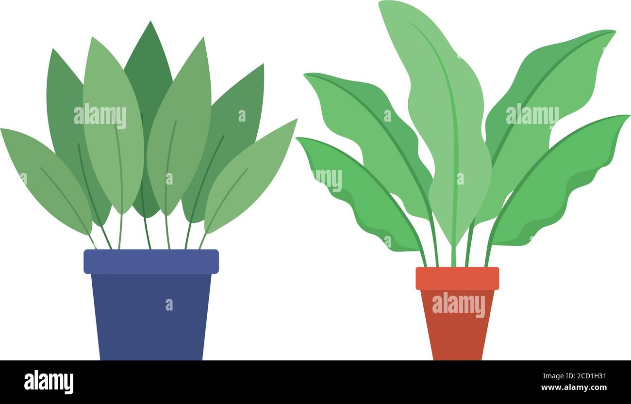 green leaves design of Floral nature garden ornament botany decoration ...
