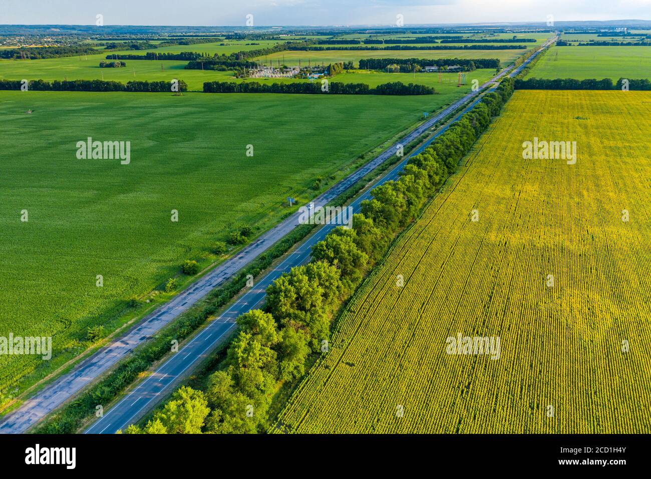 Aerial flying over wonderful panoramic view field of sunflowers and ...