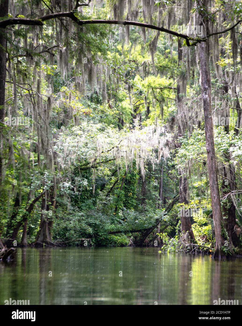 Lake dora canal hi-res stock photography and images - Alamy