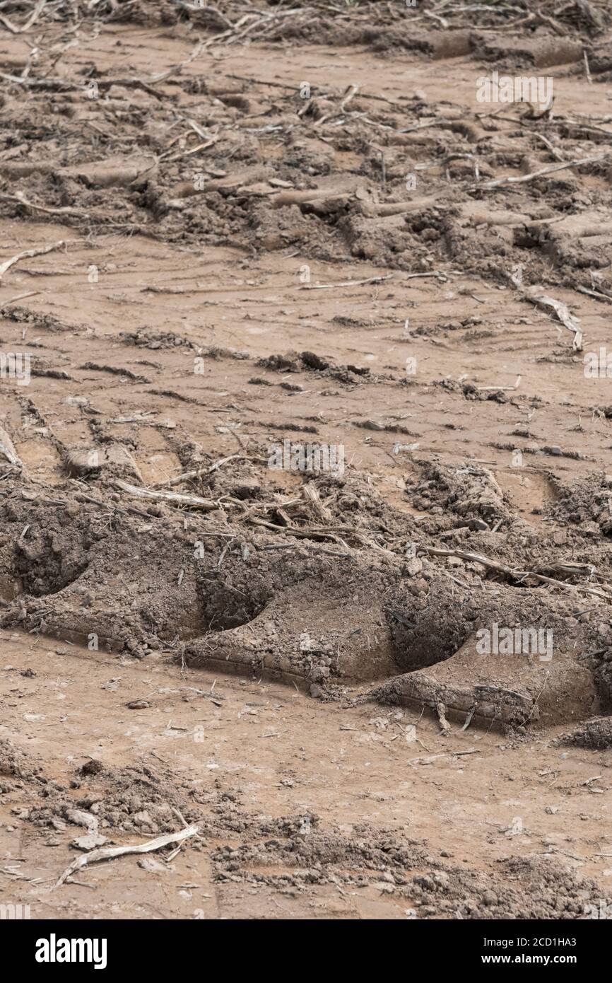 Heavy duty tractor tyre tracks in recently cropped field. For soil ...
