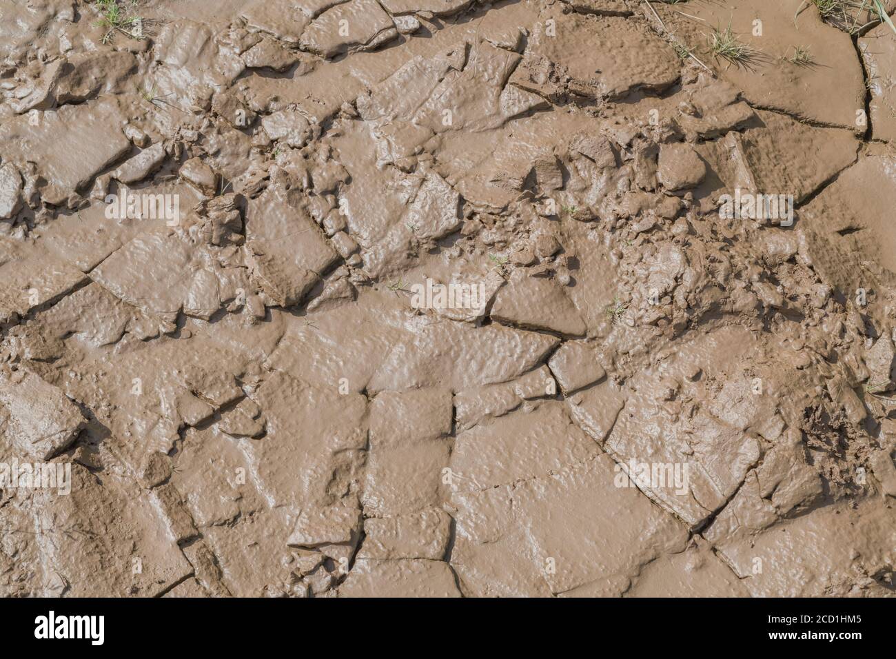 Silty soil hi-res stock photography and images - Alamy