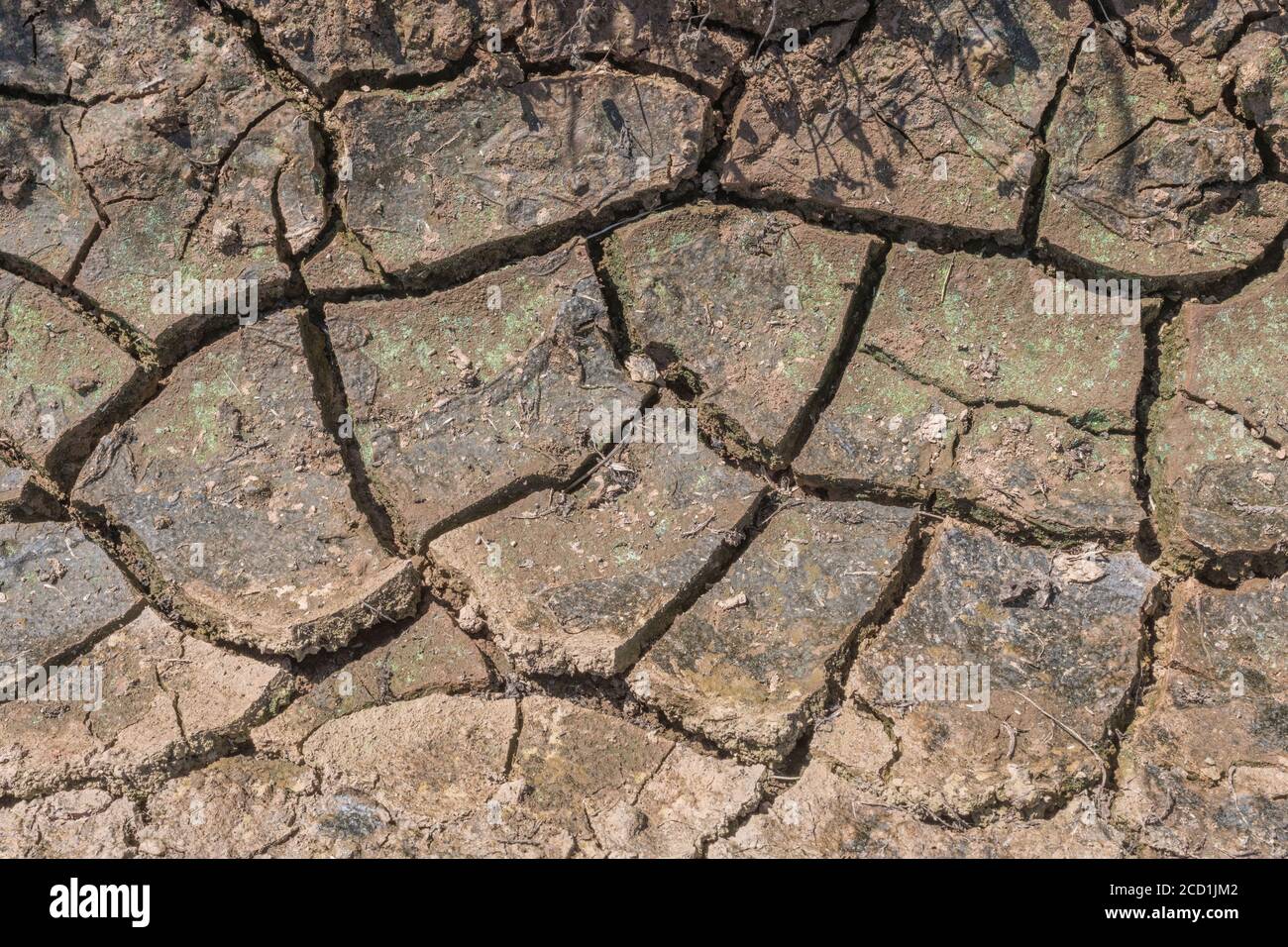 Silt-formed field soil crust cracking with lack of water. For drought ...