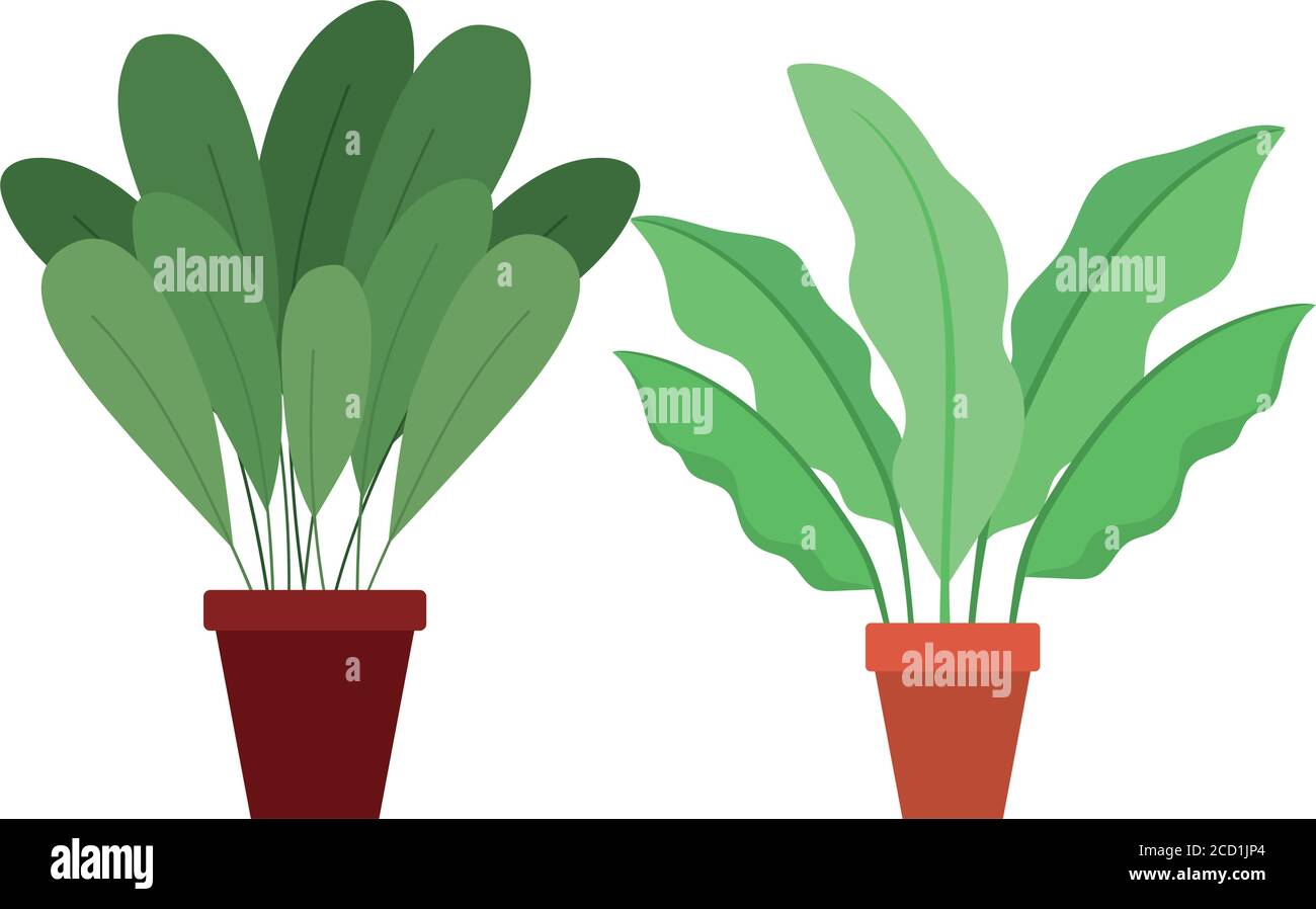 green leaves design of Floral nature garden ornament botany decoration ...