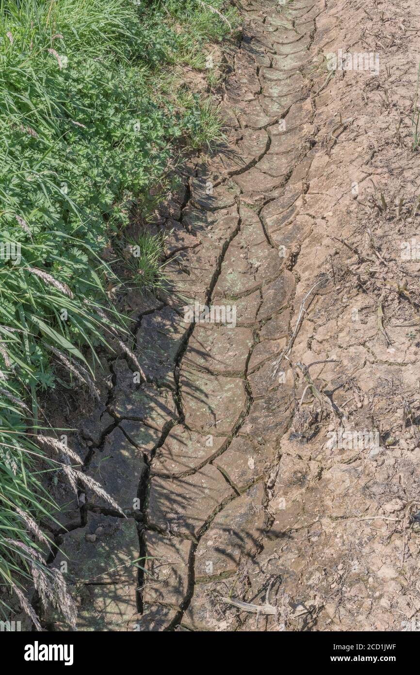 Cracked mud in dry field drainage ditch. For water shortage, German ...