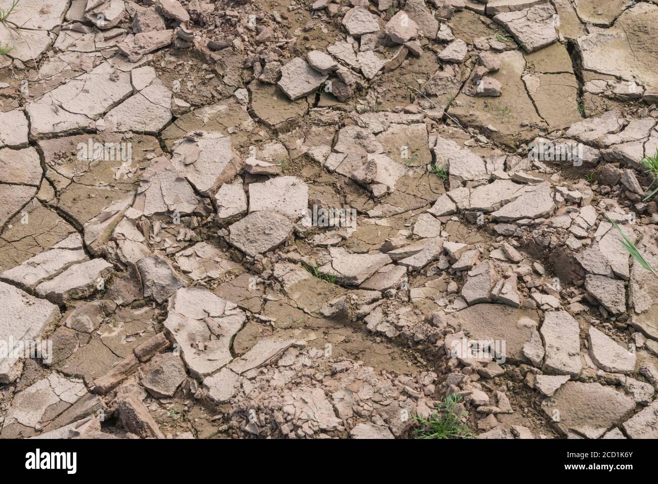 Soil crusting in field showing cracks as mud dries out & moisture ...