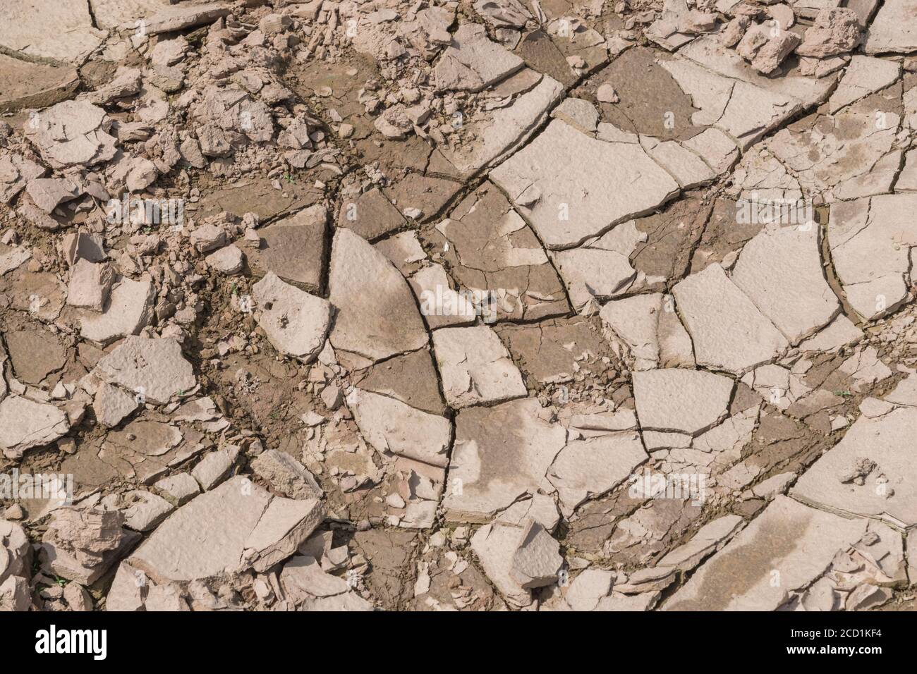 Soil crusting in field showing cracks as mud dries out & moisture ...