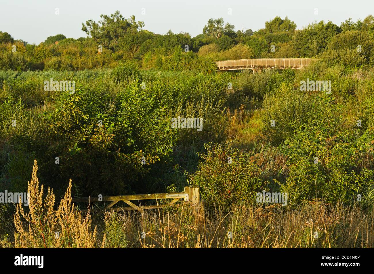 Lhasa bridge hi-res stock photography and images - Alamy