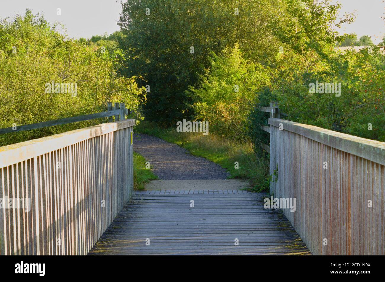 Fall forest path bridge hi-res stock photography and images - Alamy