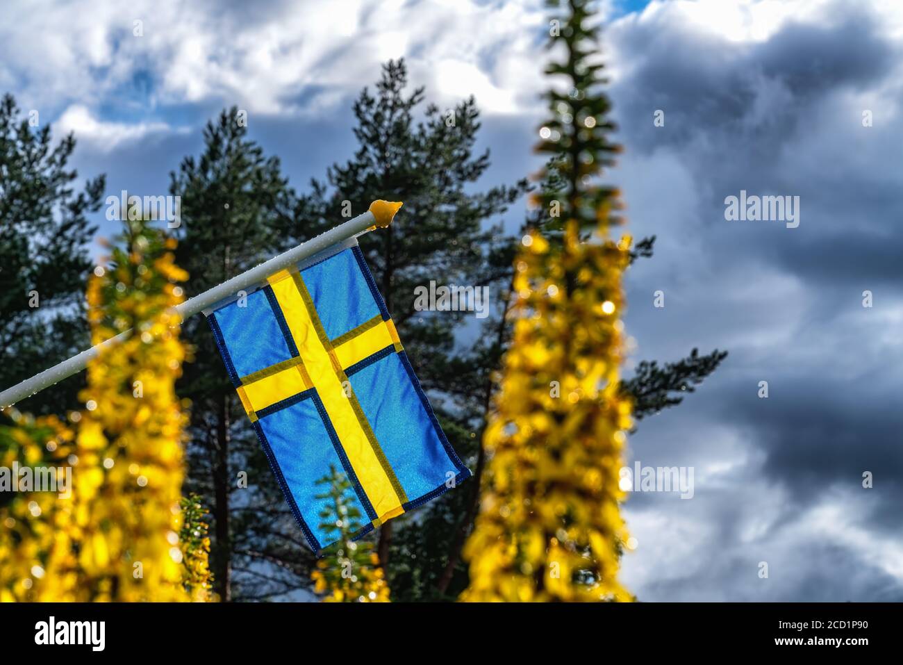 Close up view of Swedish flag with wet flagpole hanging in calm weather ...