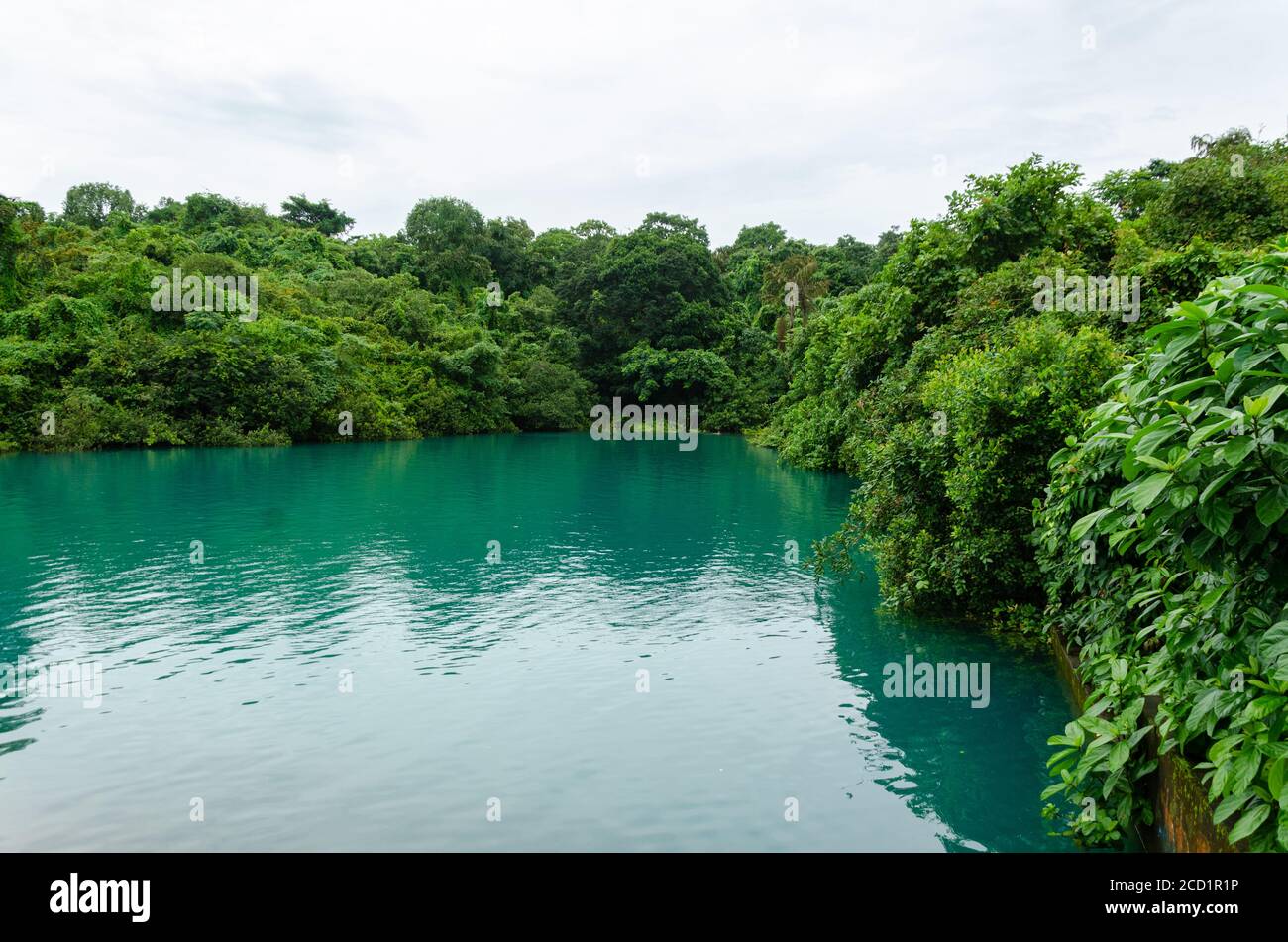 Clean and blue waterbody called Arambol Dam in Arambol, Goa, India ...