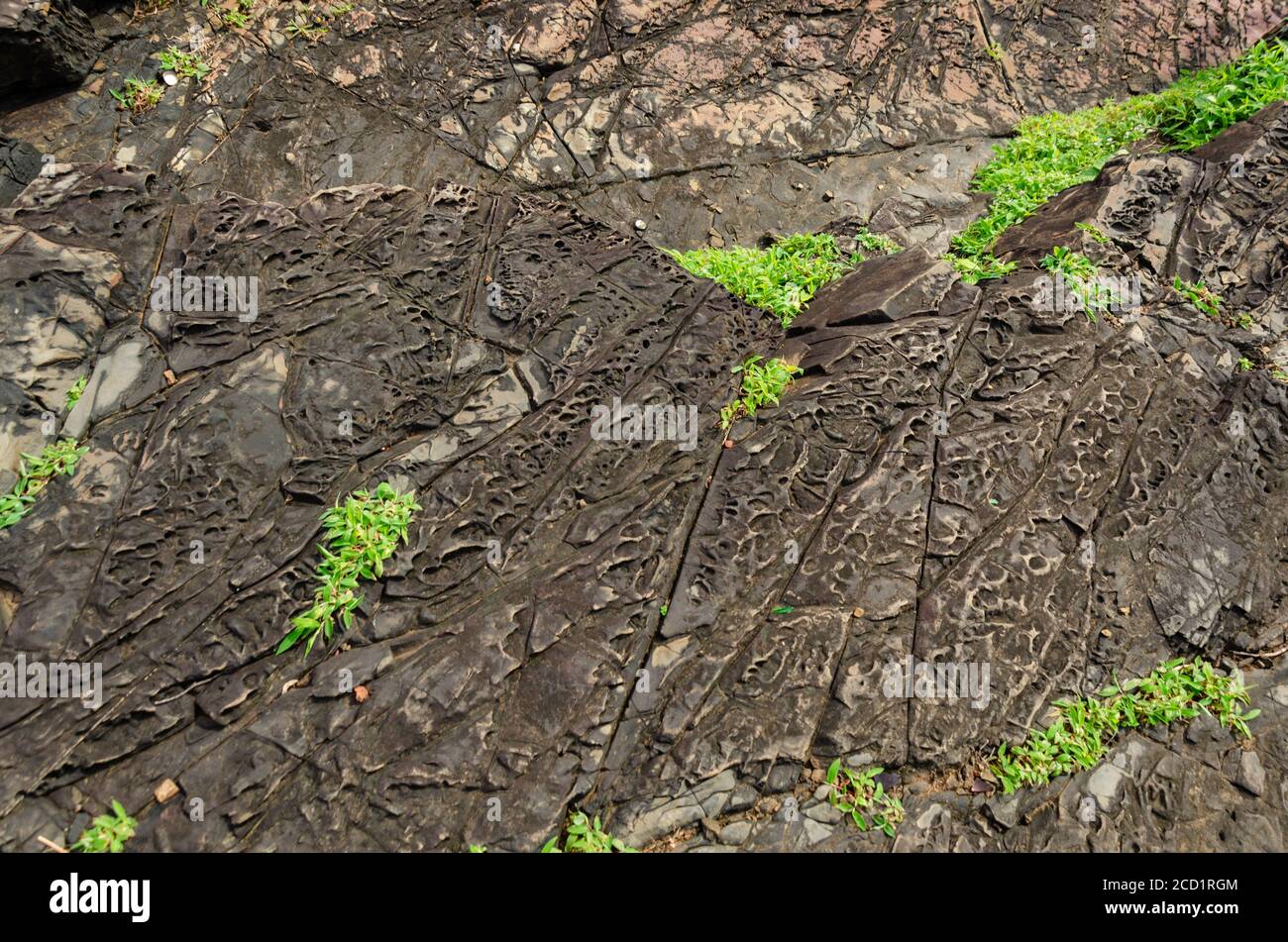 Abstract design on the surface of rock facing waves of Arabian sea at ...