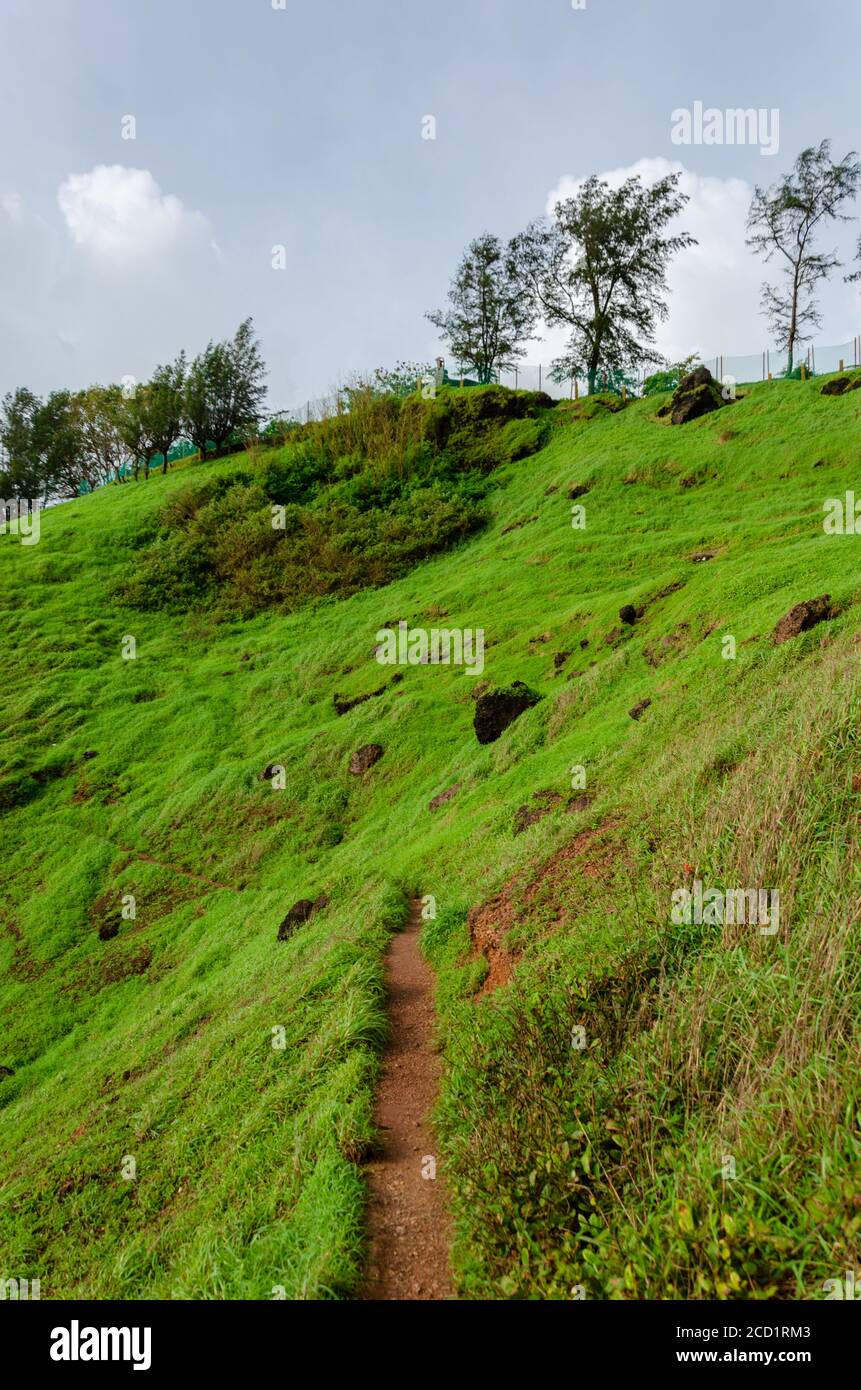 Devils finger hi-res stock photography and images - Alamy