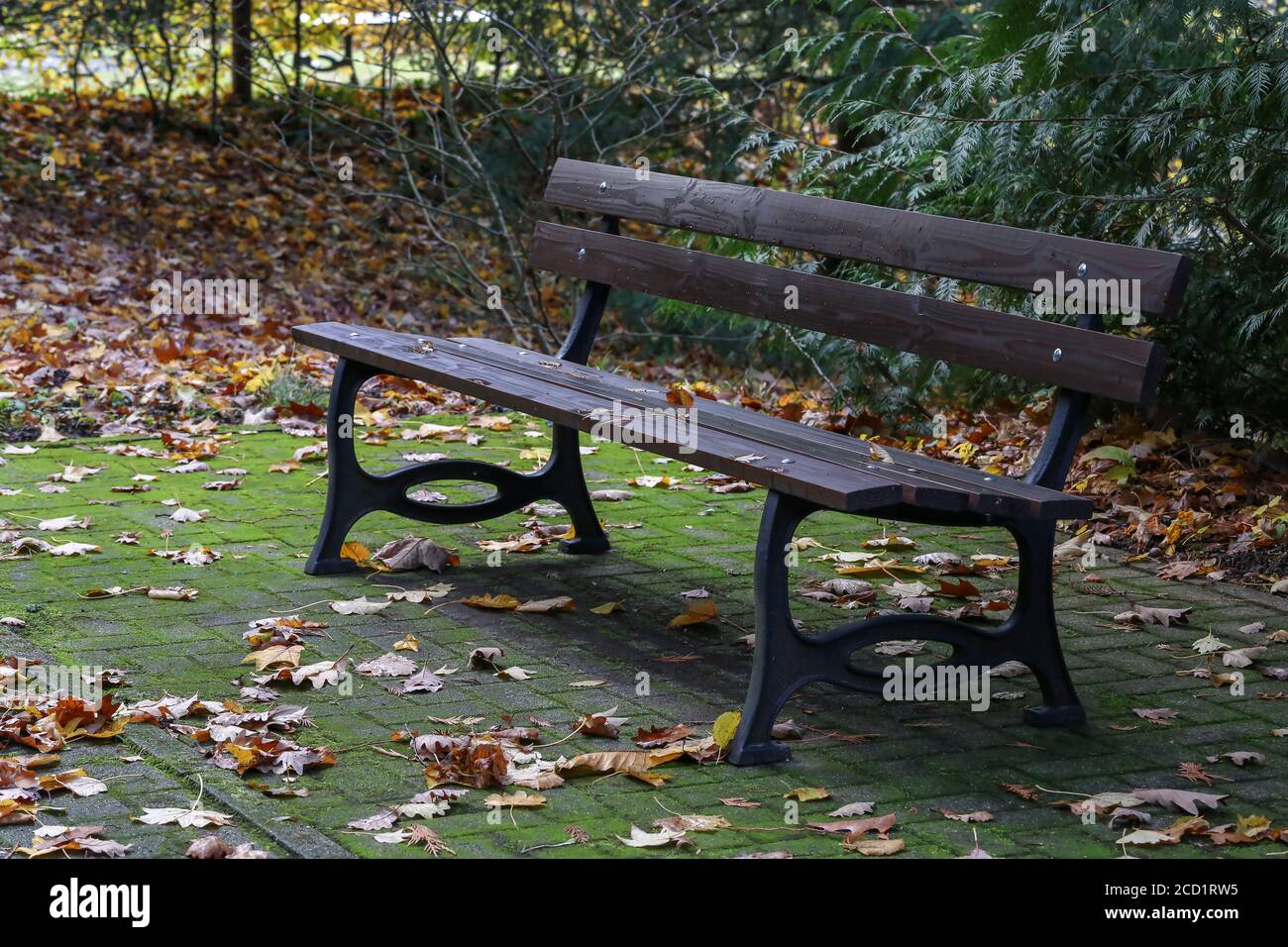 Wooden bench in countryside hi-res stock photography and images - Alamy