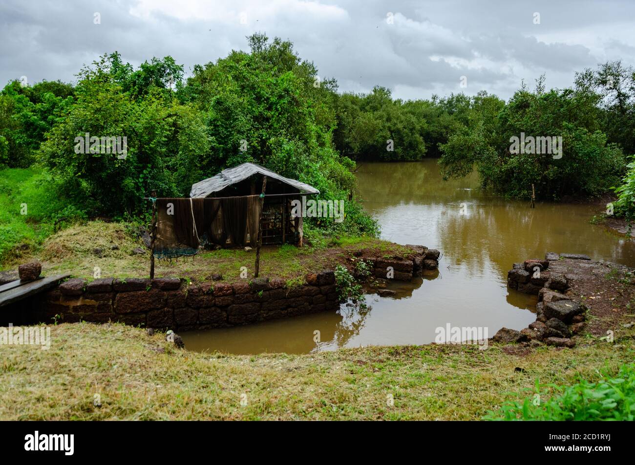 Aquaculture fish farming hi-res stock photography and images - Alamy