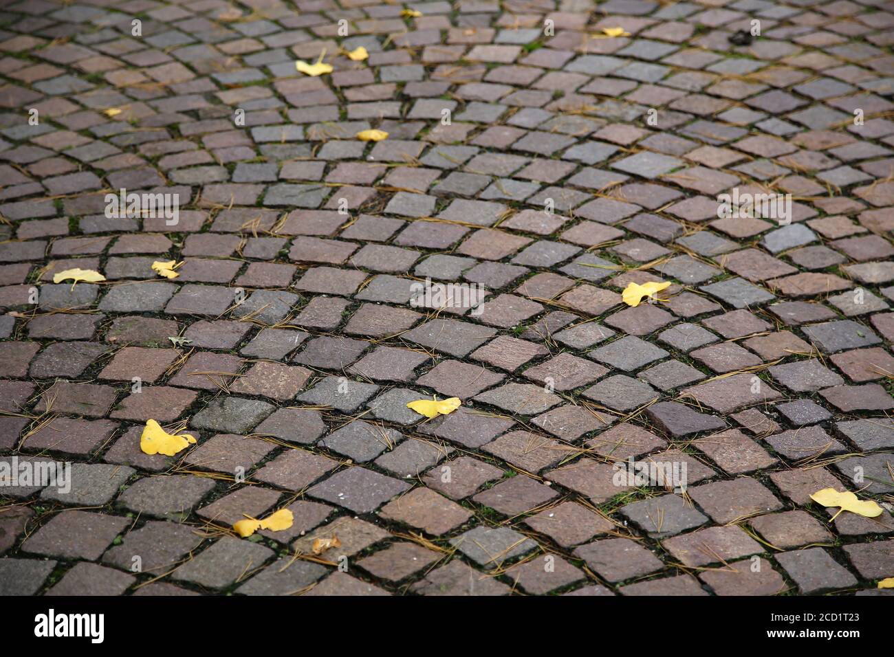 Texture of a pavement with yellow leaves on it Stock Photo - Alamy