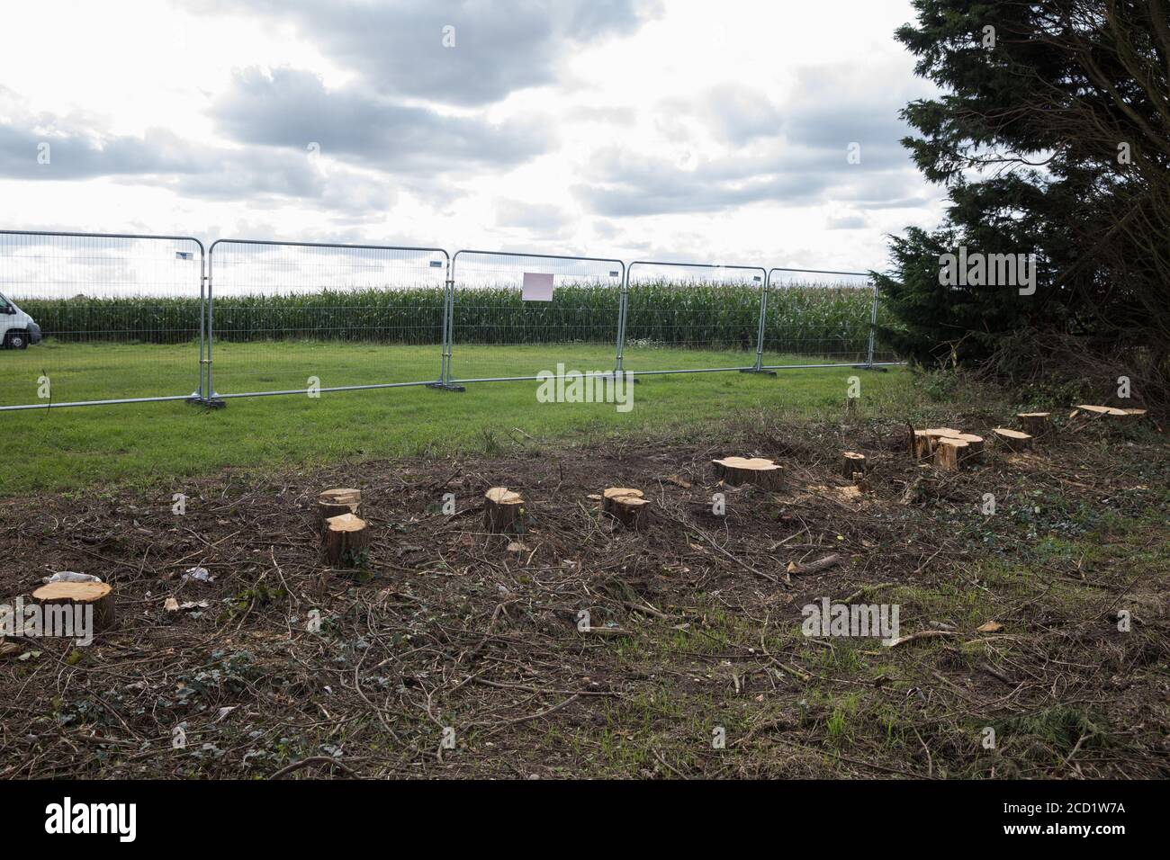 Hs2 tree stumps hi-res stock photography and images - Alamy