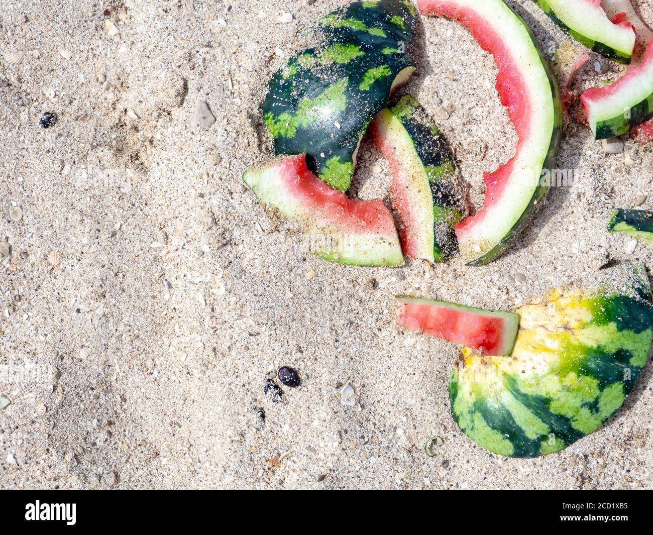 Flat lay. Eaten watermelon and melon rinds on the sand on a sunny ...