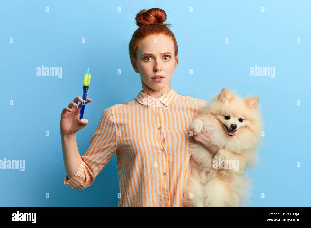puzzled scared ginger woman holding a syringe and a pet and looking at ...