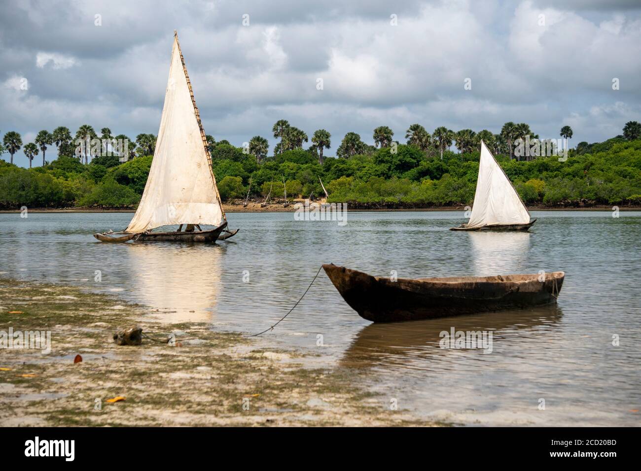 African traditional wooden fishing boats. Dhow Boats with the Sails and ...