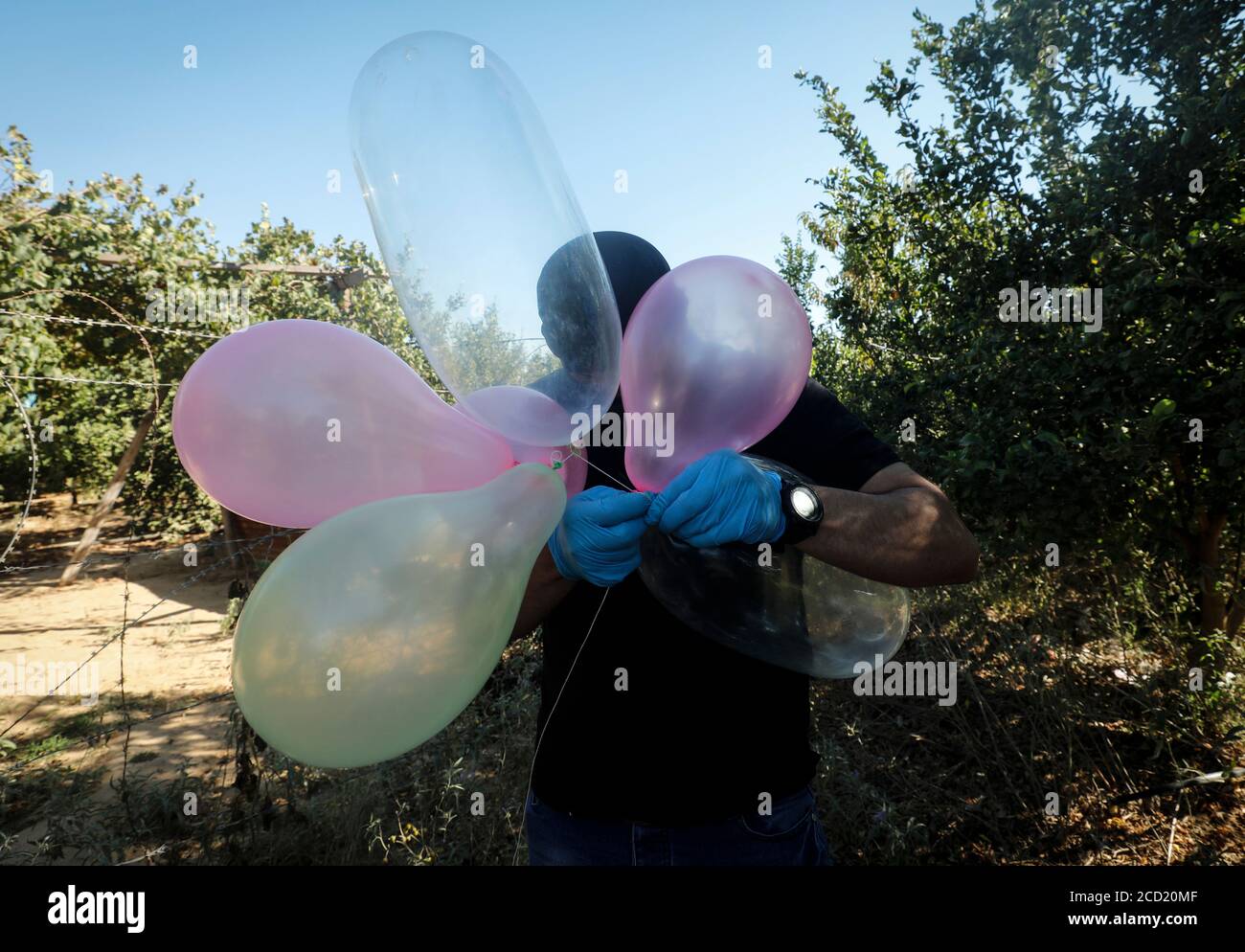 Masked Palestinian attaching incendiary devices to balloons before ...