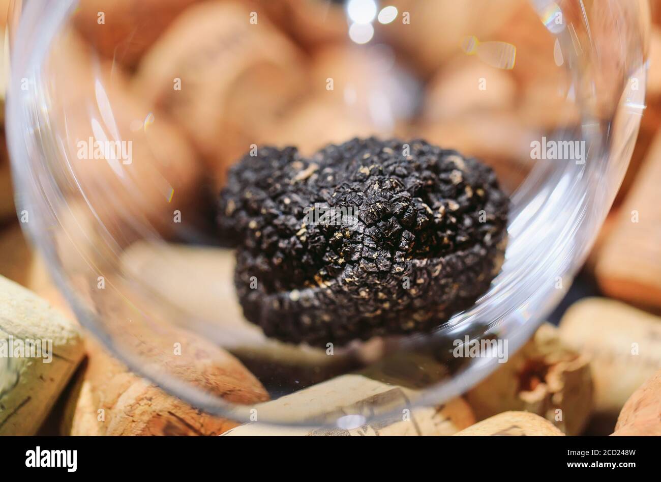 Black Truffle Food High Resolution Stock Photography and Images - Alamy