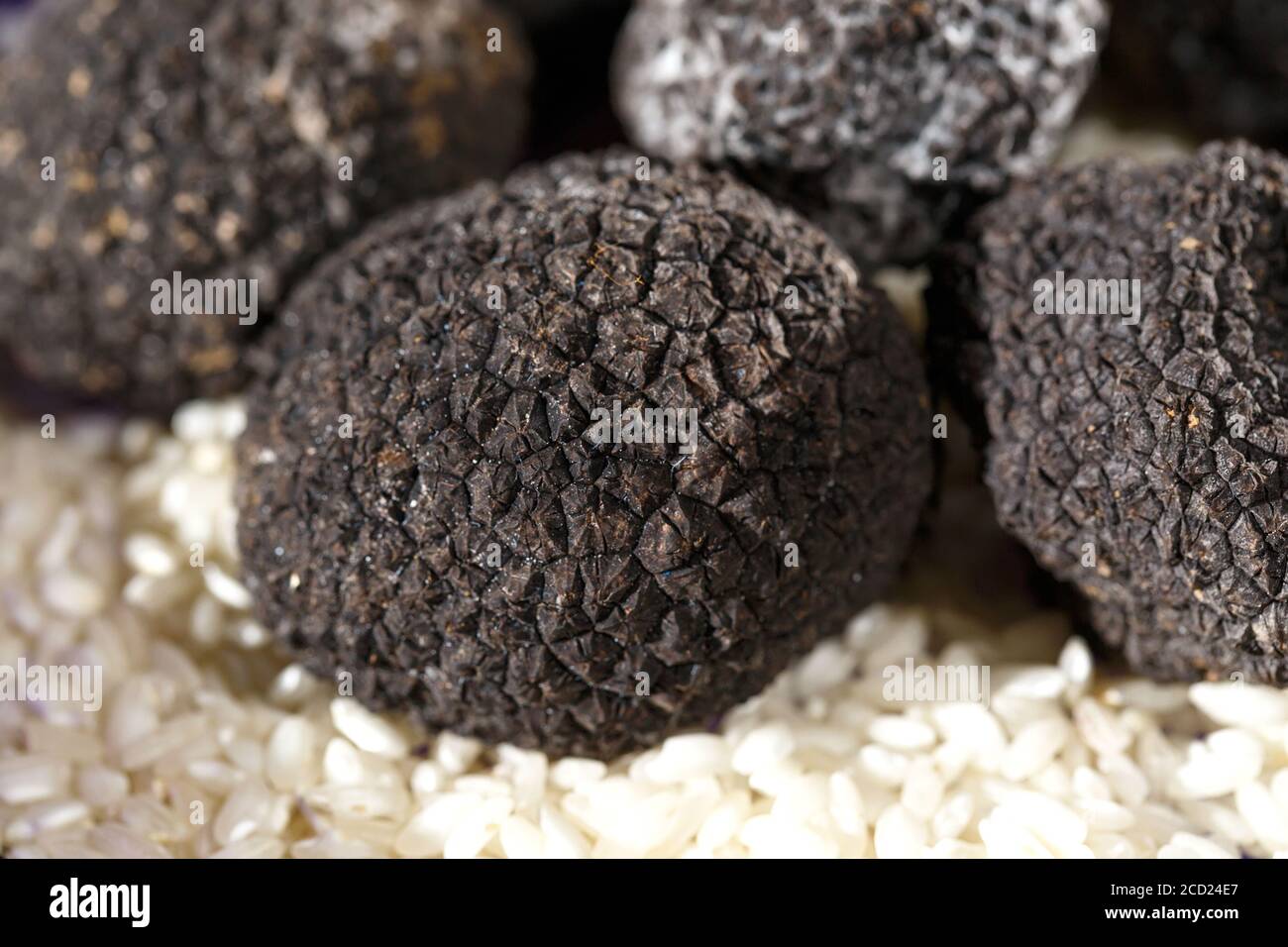 Black Truffles in rice on a white background Stock Photo - Alamy