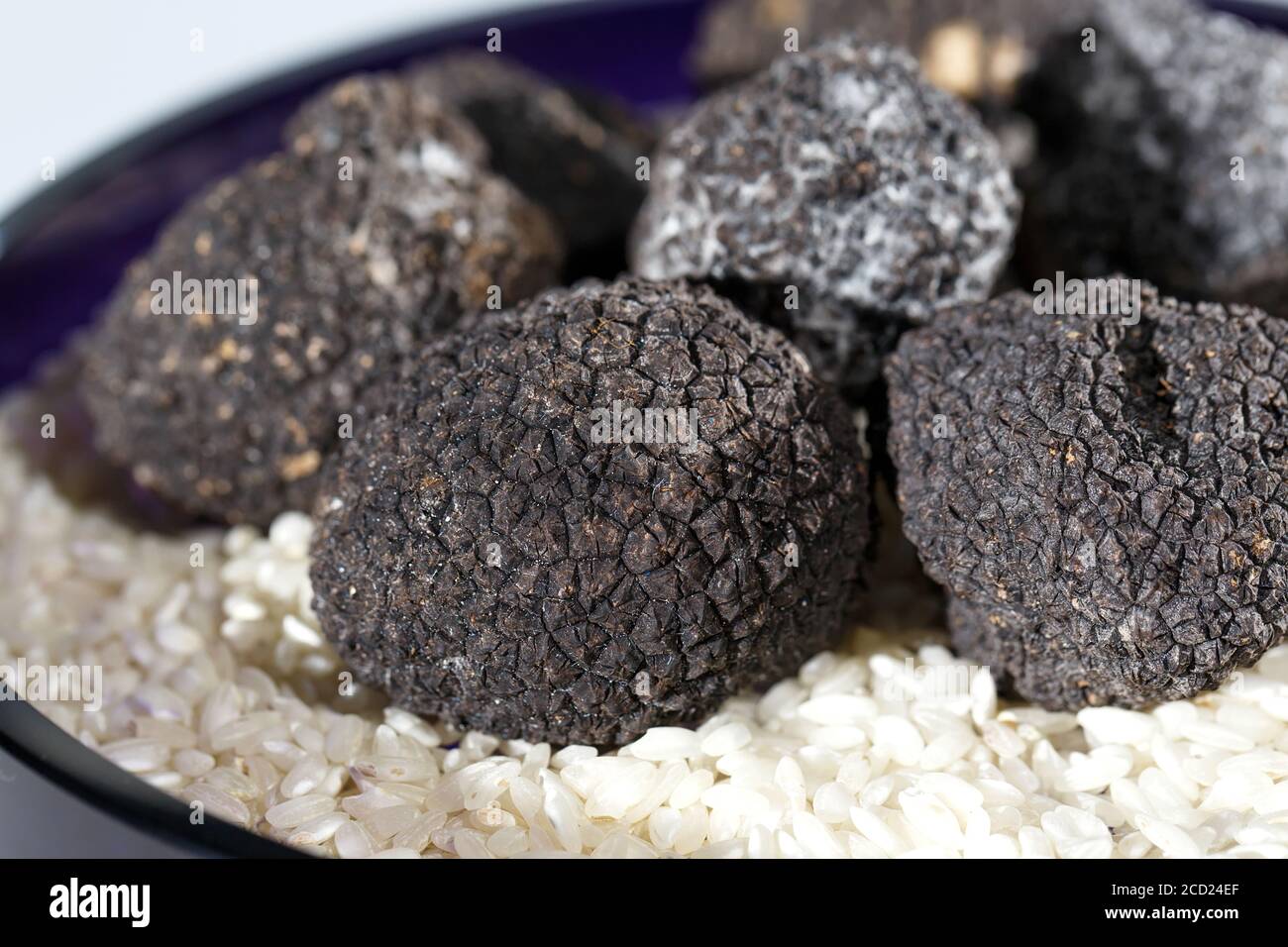Black Truffles in rice on a white background Stock Photo - Alamy