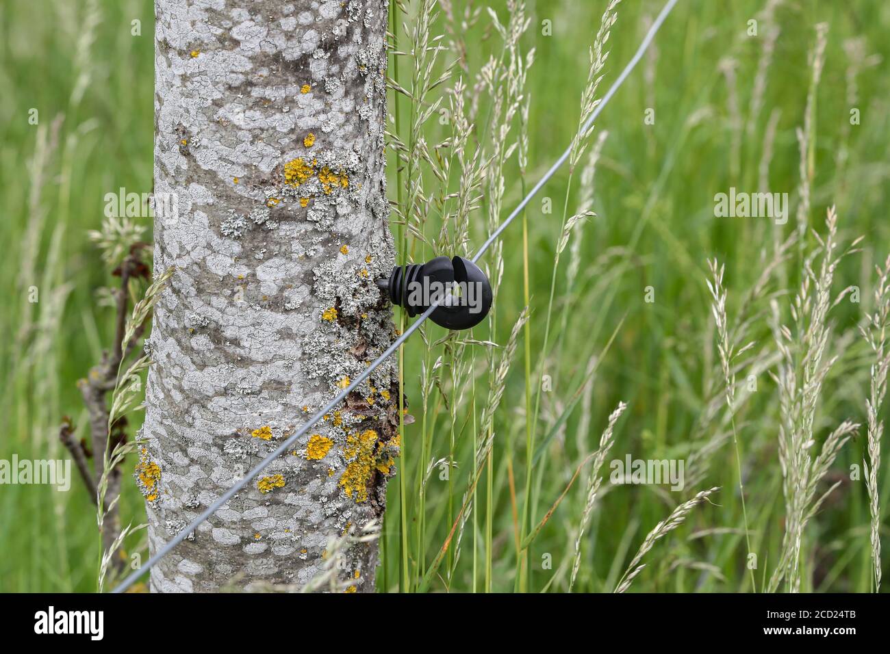 Electrical fence around field hi-res stock photography and images - Alamy
