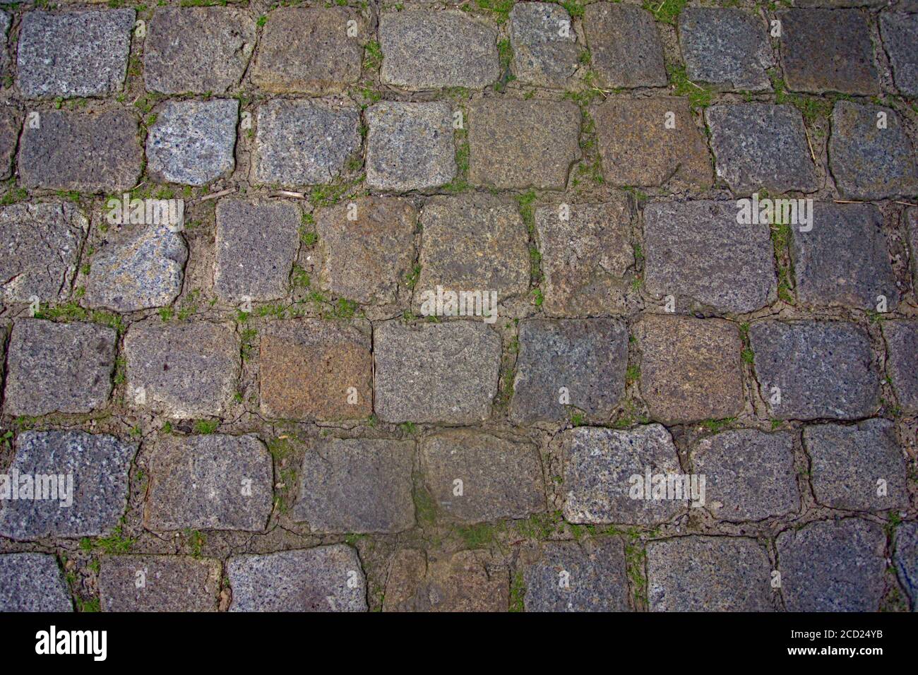 A cobbled street section Stock Photo - Alamy