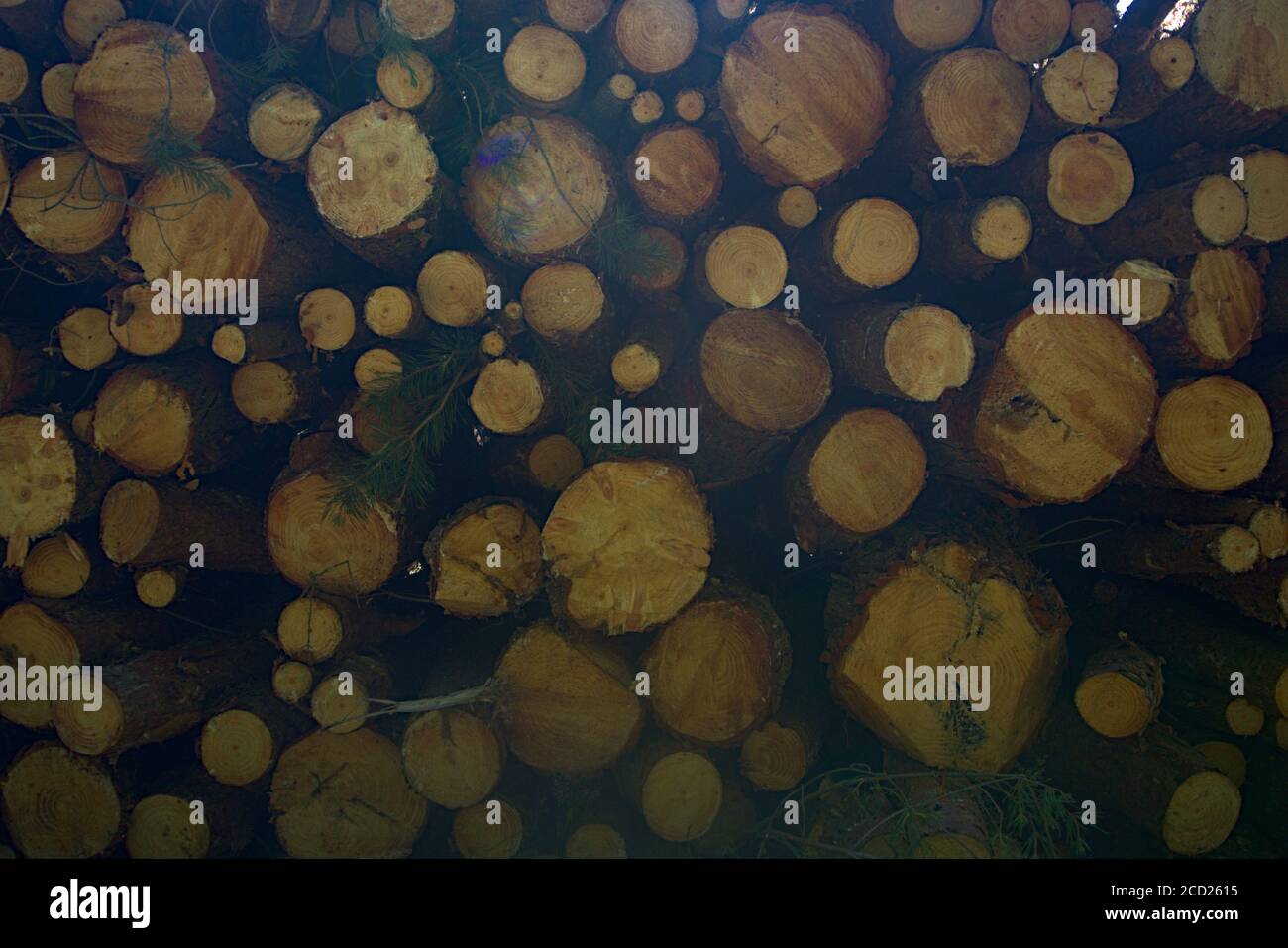 Wall of wooden logs background Stock Photo - Alamy