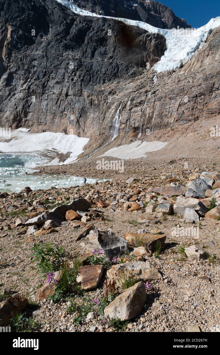 Angel Glacier hangs over a cliff below Mount Edith Cavell in Jasper ...