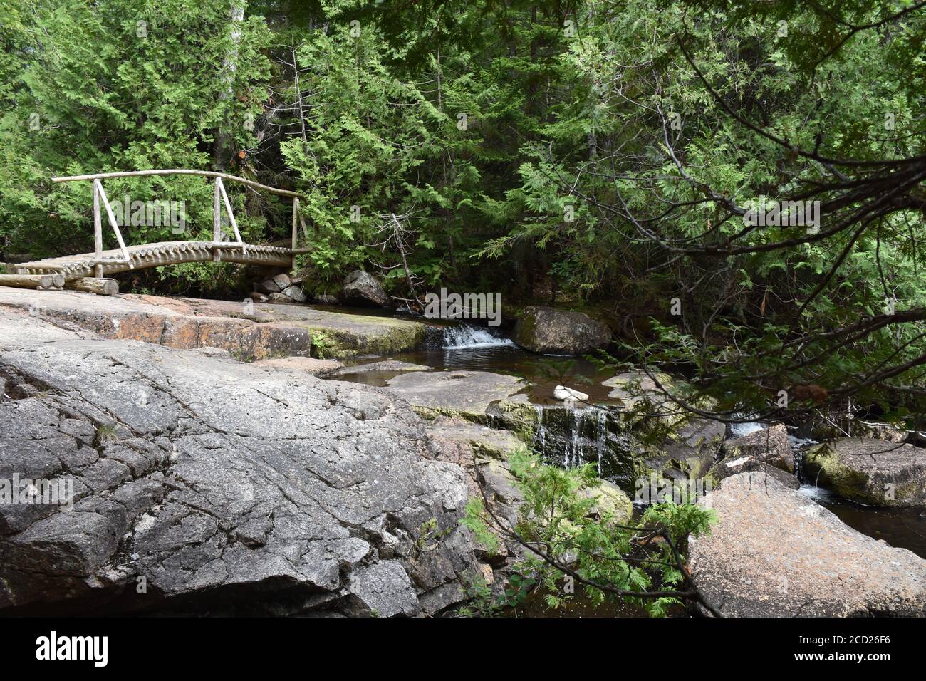 Lower woods pond hi-res stock photography and images - Alamy