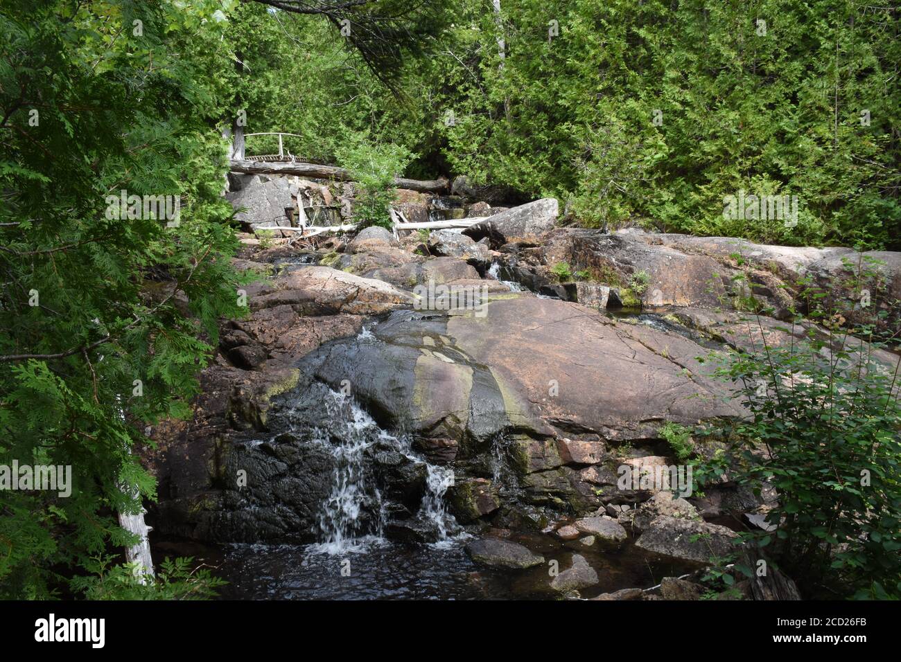 The Hadlock lower pond trail at Acadia National Park Stock Photo - Alamy