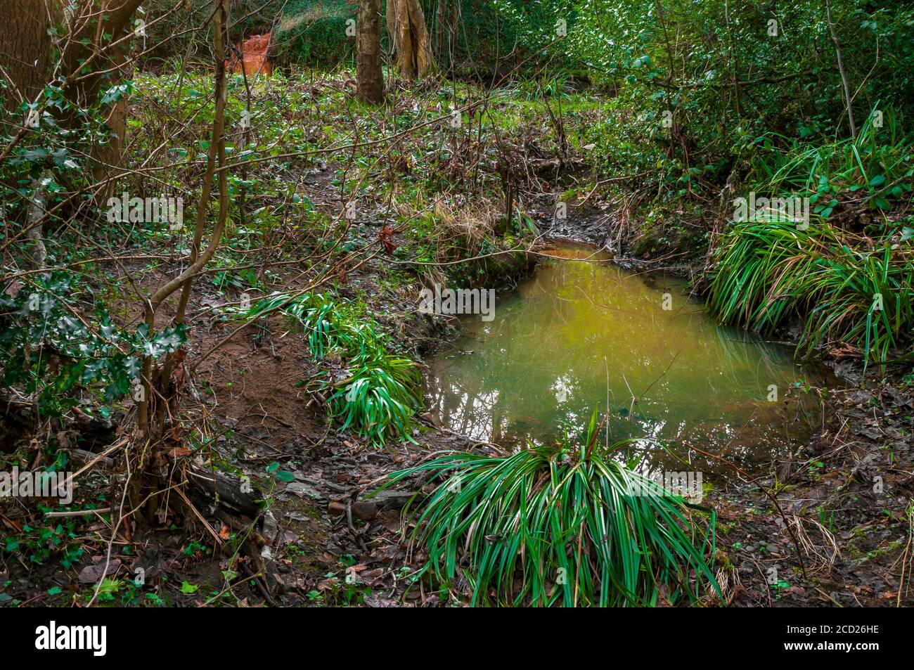 Water-filled trench and flowers at the site of the former Moscar Wheel ...