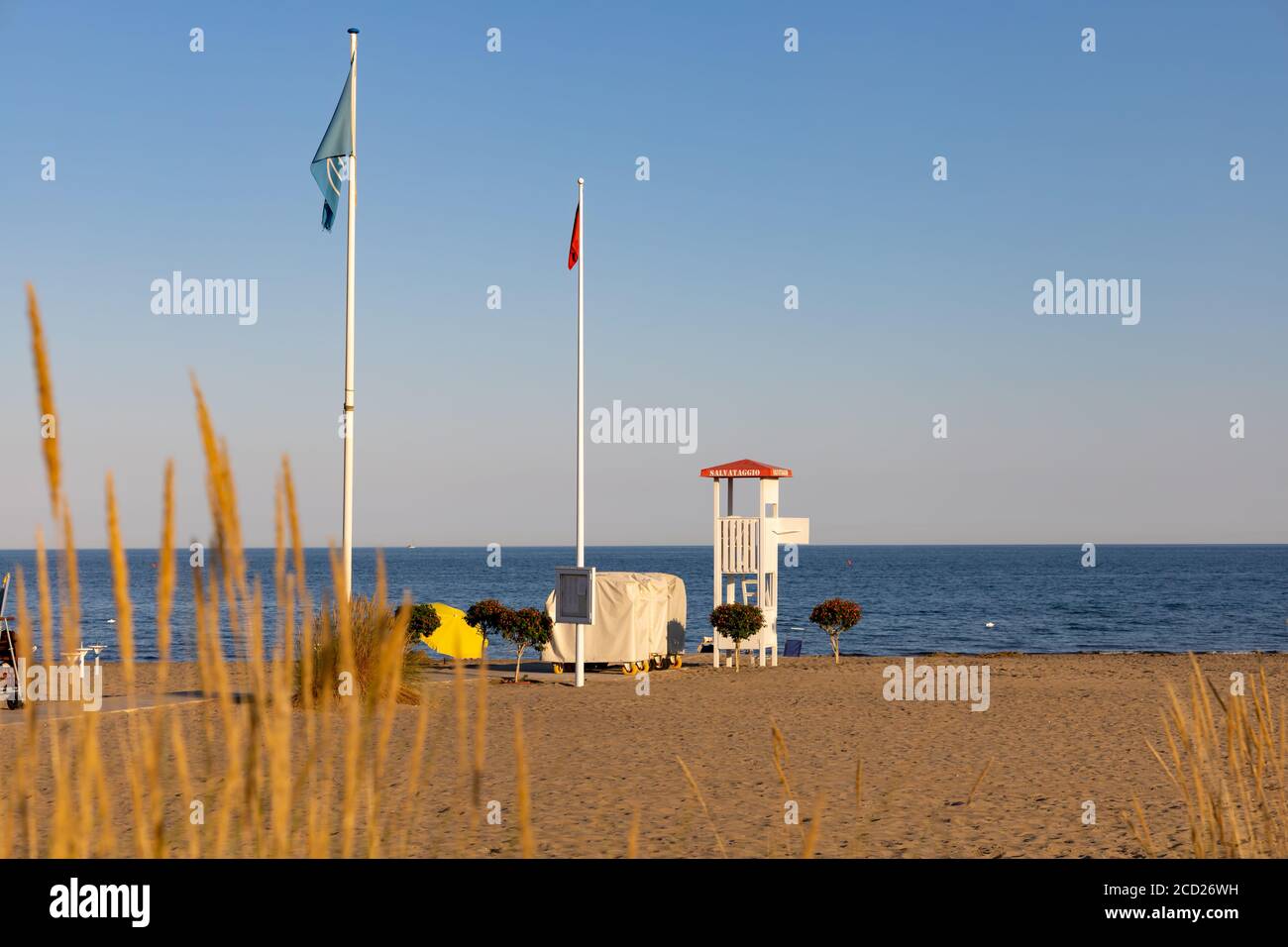 Closeup shot of grass and flags on the beach Stock Photo - Alamy