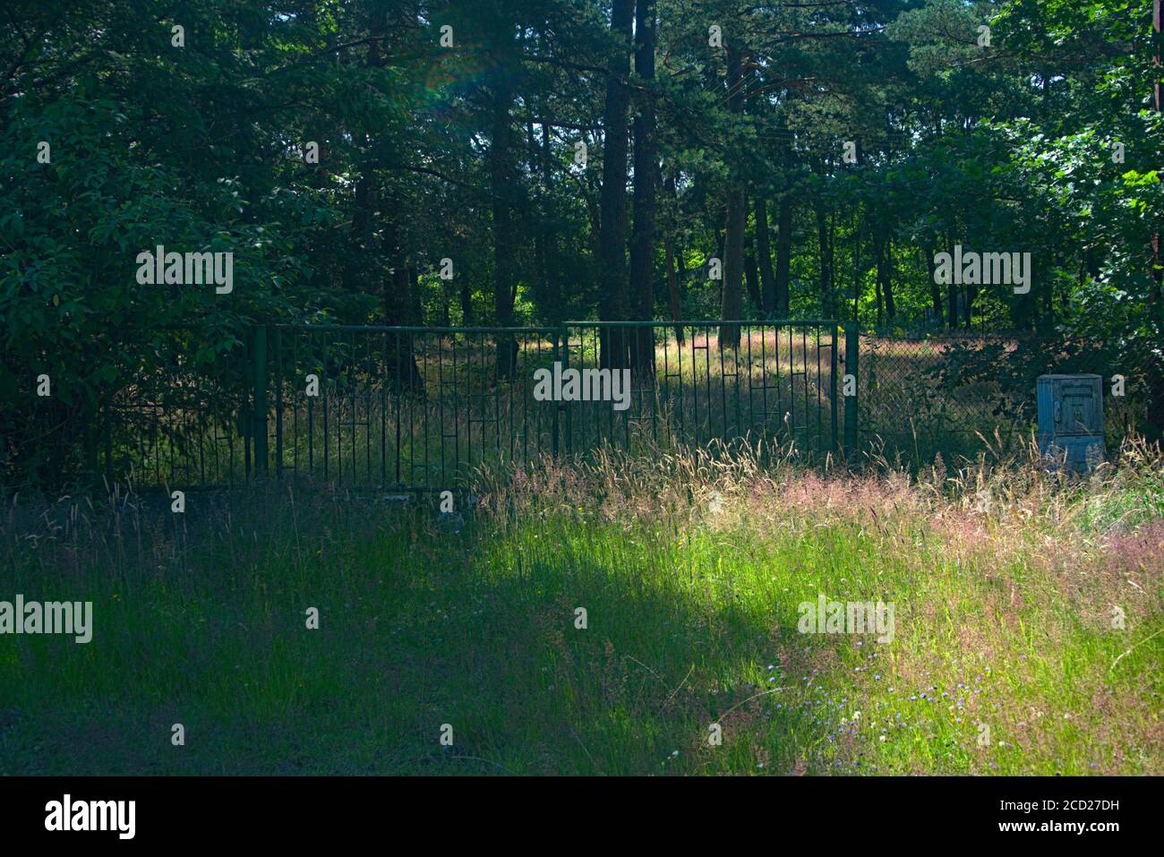 Forest gate hi-res stock photography and images - Alamy