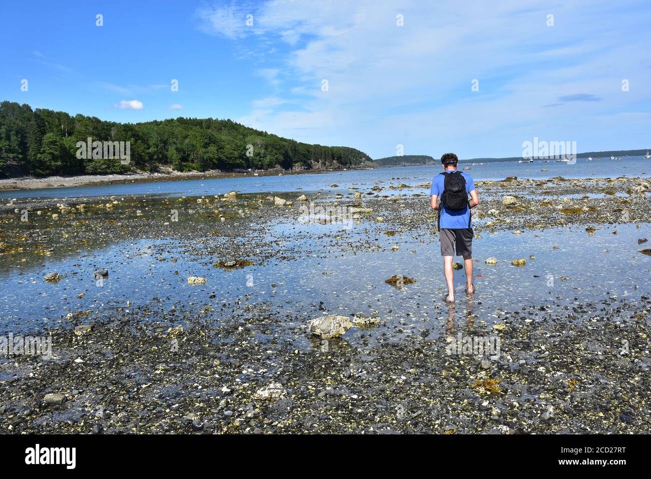 Man wading hi-res stock photography and images - Alamy