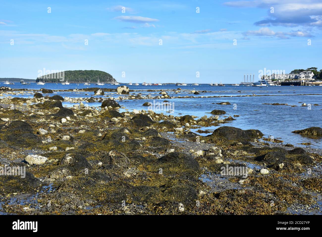 Low tide in Bar Harbor Stock Photo - Alamy
