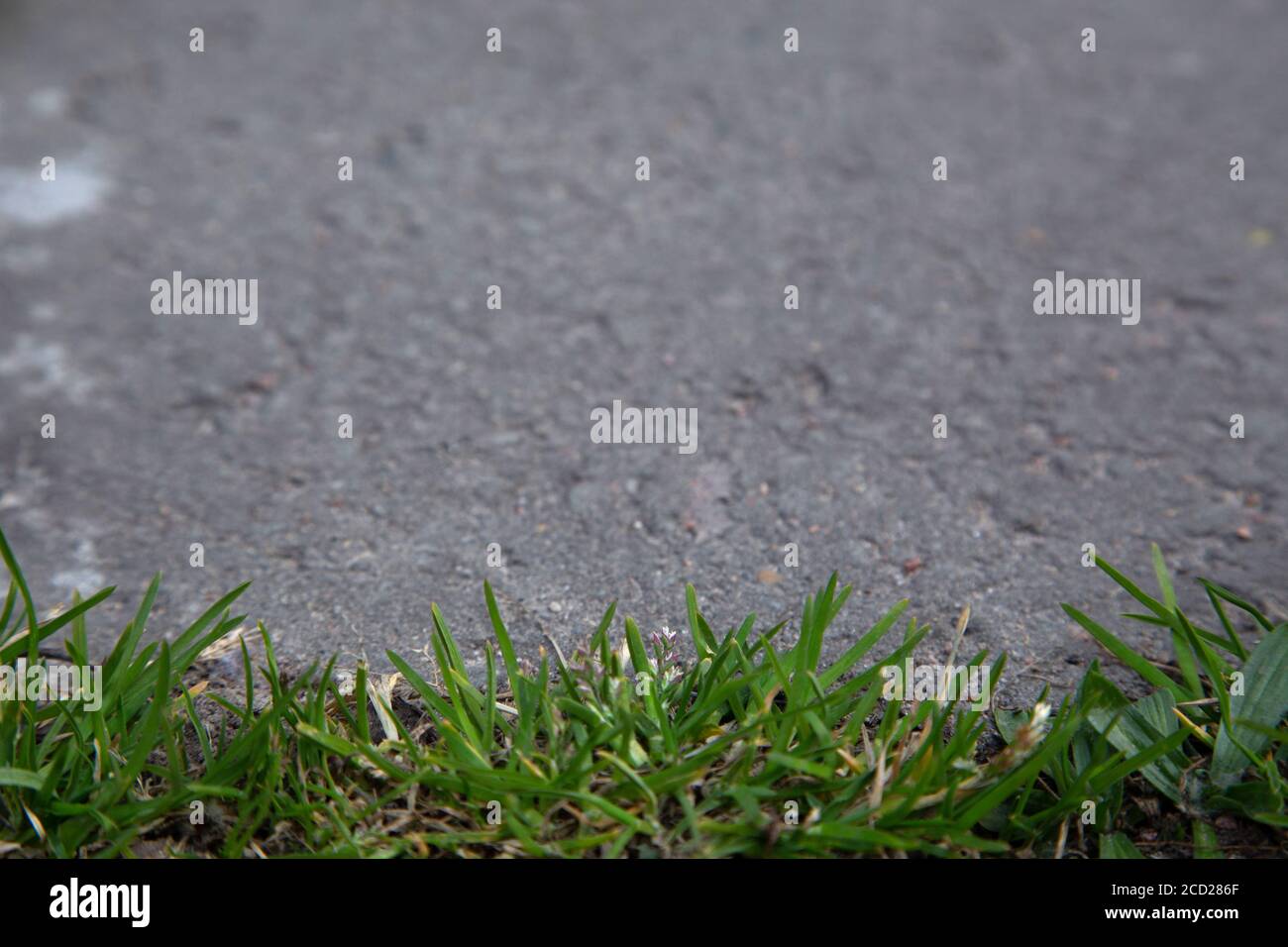 Asphalt footpath hi-res stock photography and images - Alamy