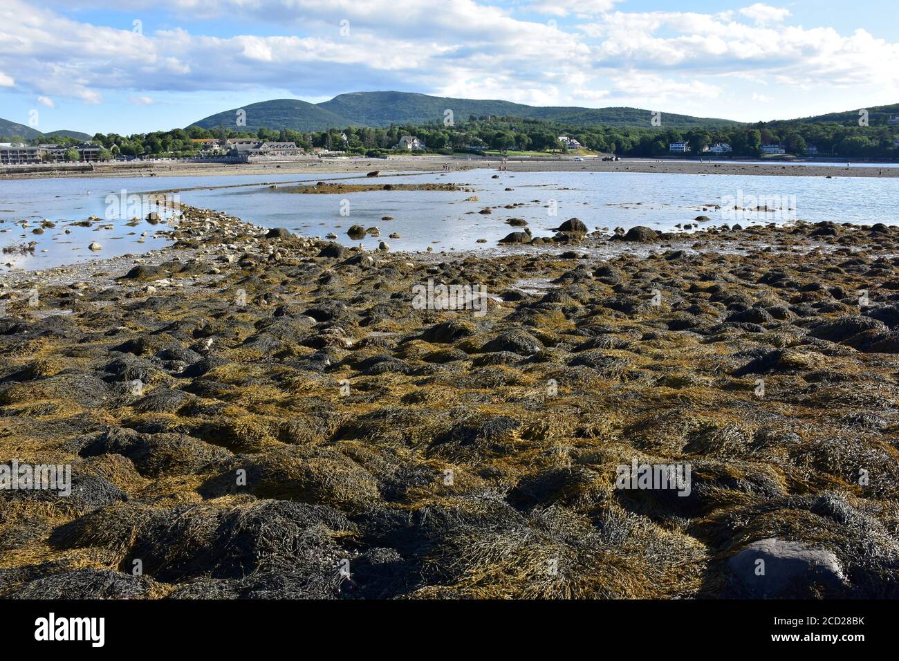 Low tide in Bar Harbor Stock Photo - Alamy