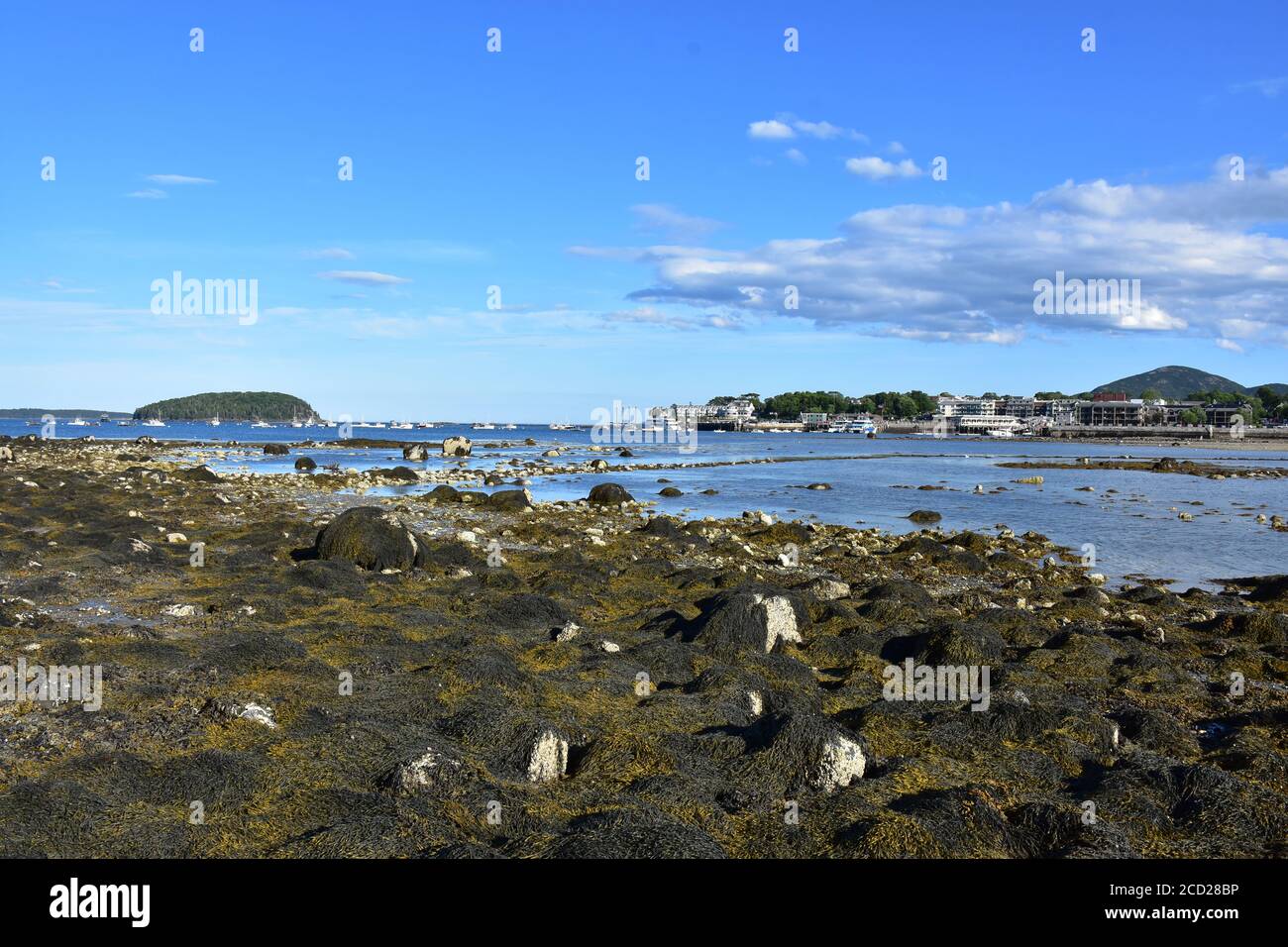 Low tide in Bar Harbor Stock Photo - Alamy