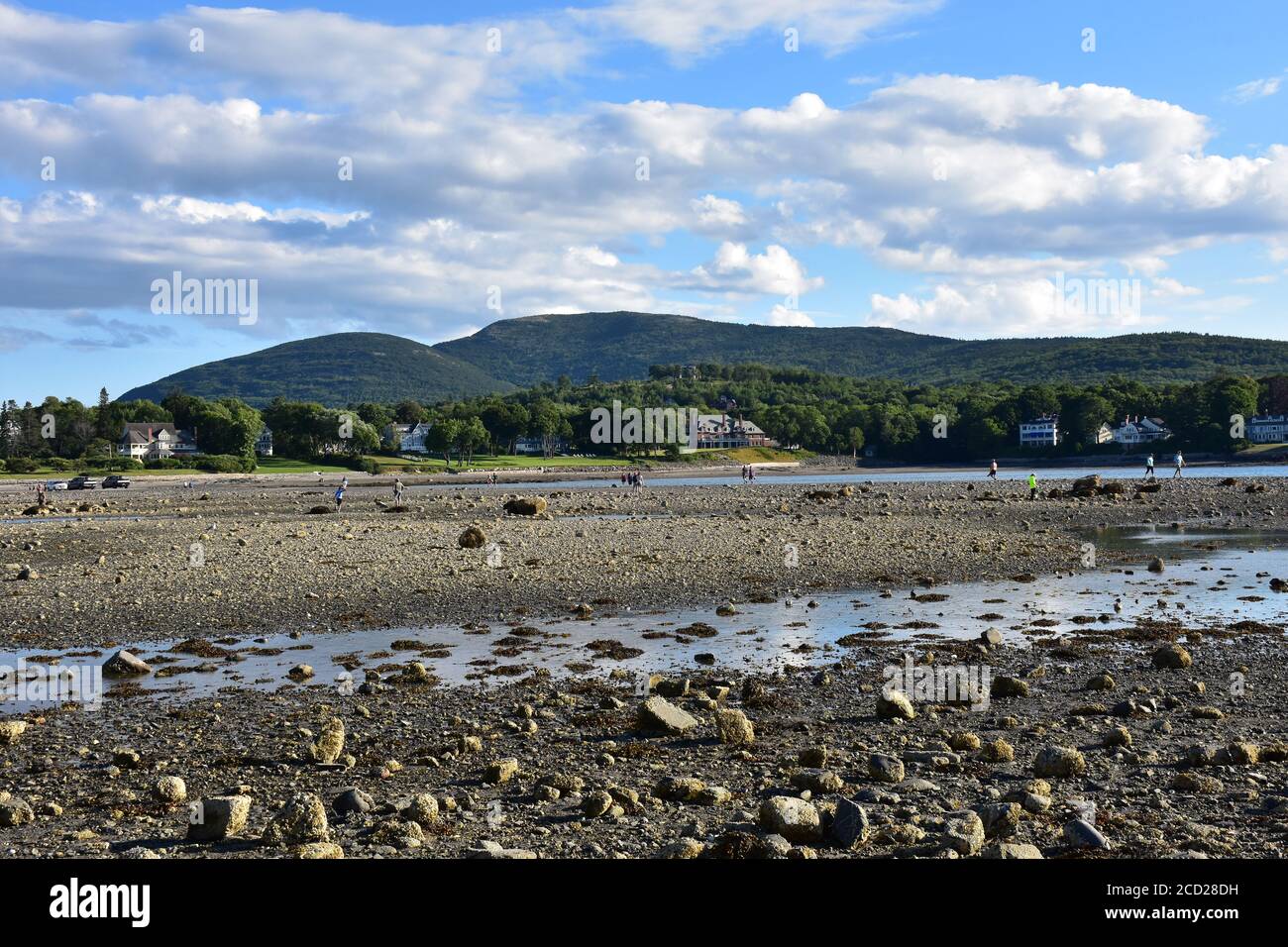 Low Tide In Bar Harbor Stock Photo Alamy