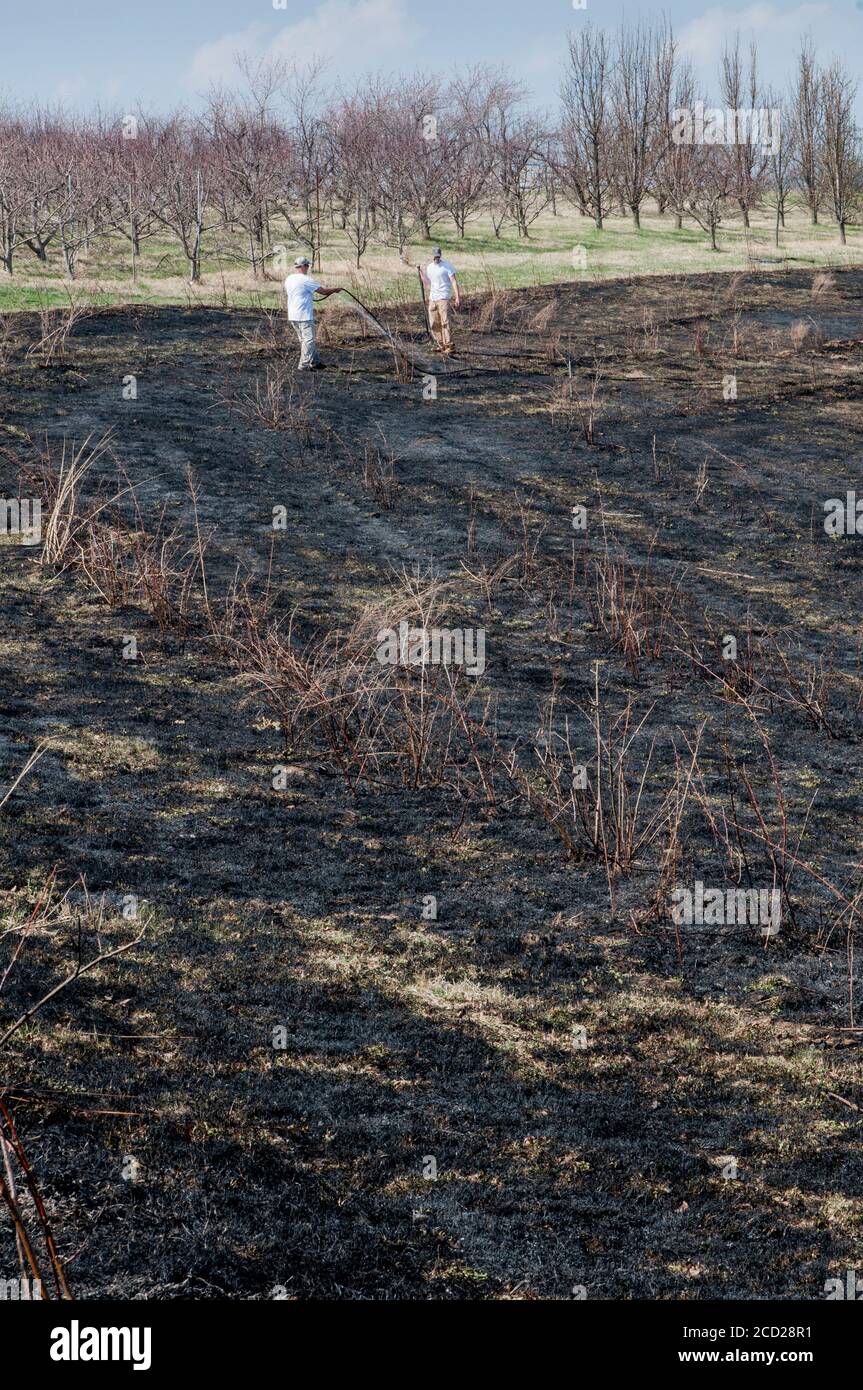 Weston field hi-res stock photography and images - Alamy