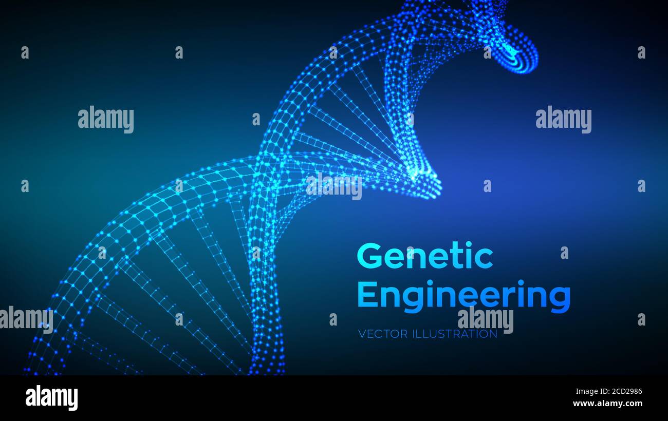 Dna Sequence Wireframe Dna Molecules Structure Mesh Dna Code Editable