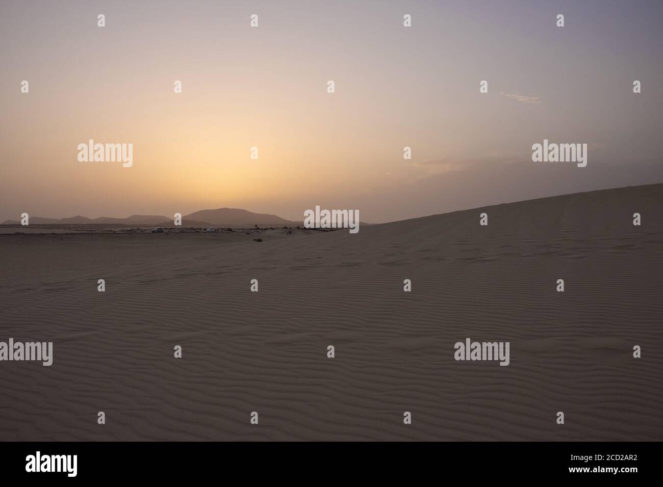 Beach tumbleweed hi-res stock photography and images - Alamy